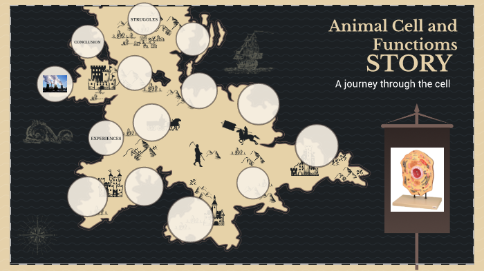 Animal Cell City! by Katelyn Hagan on Prezi