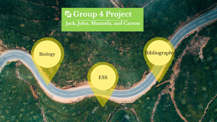 Group 4 Project by Jack Sitou on Prezi