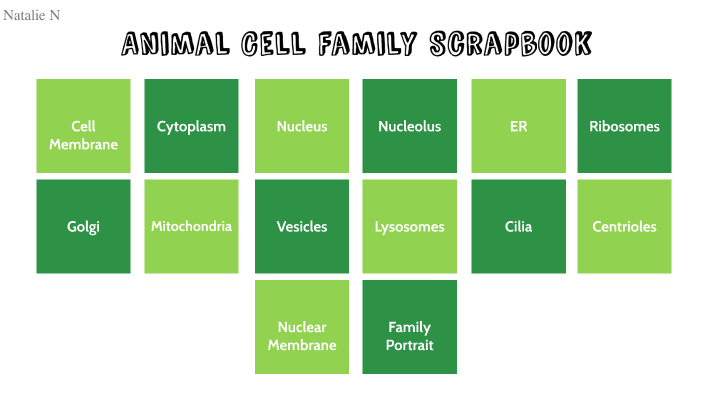 Animal Cell Family Scrapbook by Natalie Newman on Prezi