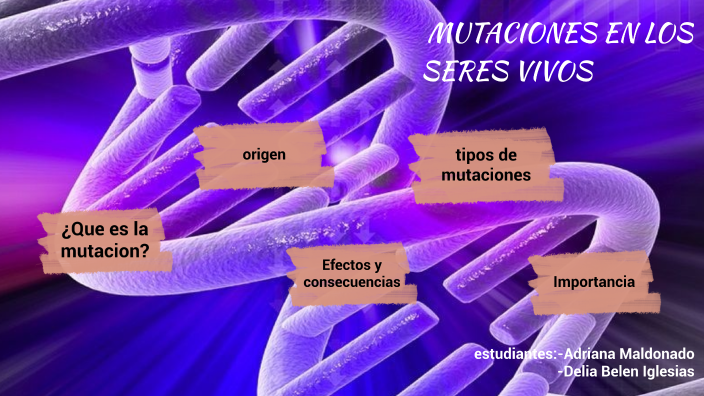 mutación en los seres vivos by adriana michelle maldonadp coronado on Prezi