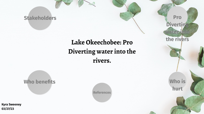 The ethics of dumping tainted water out of Lake Okeechobee: Pro ...