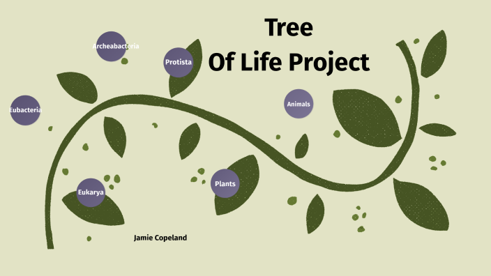 Tree Of Life Project by Jamie Copeland on Prezi