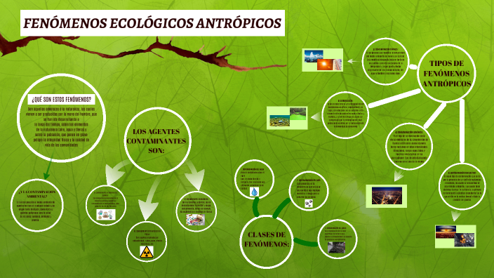 FENÓMENOS ECOLÓGICOS ANTRÓPICOS by ARIANNA SOFIA TAGLE GONZALES on Prezi