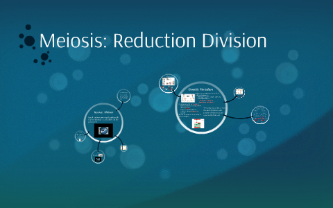 Meiosis: Reduction Division by Angela De Jong on Prezi