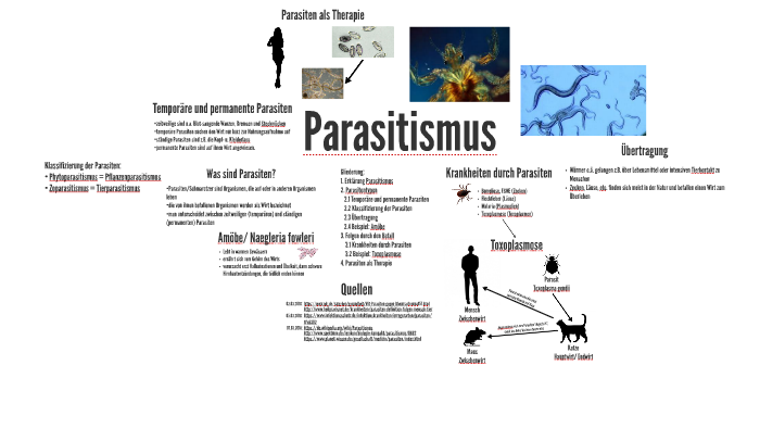 Parasiten by Samantha Lindow on Prezi