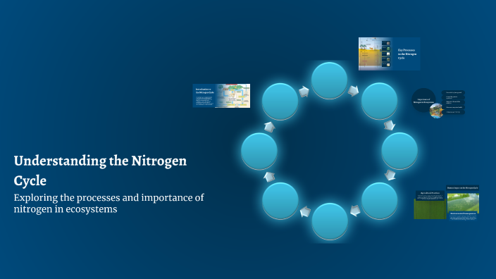 Understanding the Nitrogen Cycle by Kusum Tak on Prezi