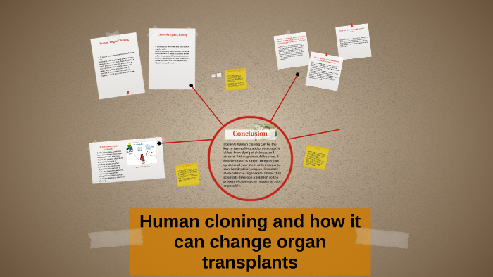 Human cloning and how it can change organ transplants by Junha Jang on ...