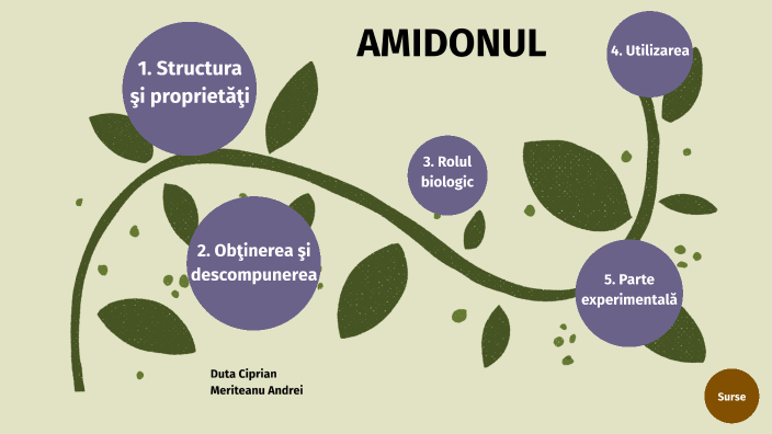 Amidonul by Ciprian Andrei on Prezi
