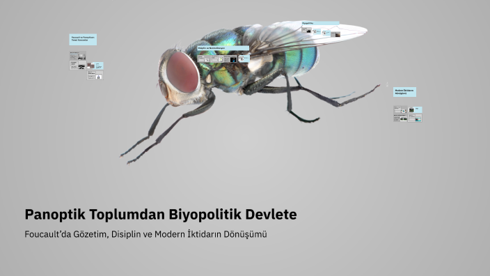 Panoptik Toplumdan Biyopolitik Devlete by Ece Şen on Prezi