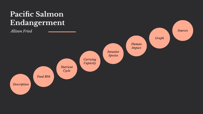 Ecology Project by Allison Fried on Prezi