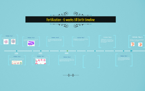 Fertilization - 6 weeks till birth timeline by Lois Granleese on Prezi