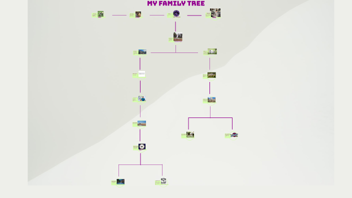 my family tree by rory pfinsgtler on Prezi