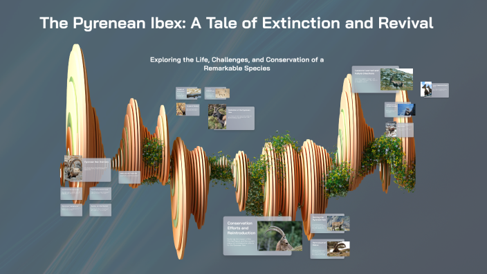 The Pyrenean Ibex: A Tale of Extinction and Revival by حسن النخلي on Prezi