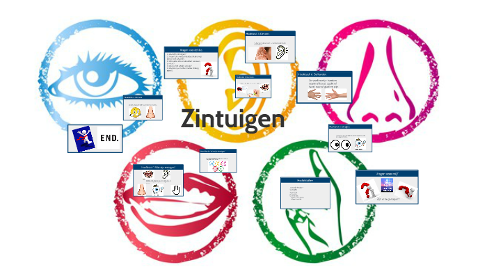 Zintuigen by quinten de keijzer on Prezi