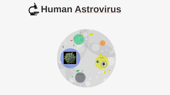 Human Astrovirus by Channing miller on Prezi