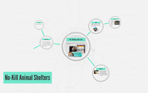 No-Kill Animal Shelters by Ethan Walpole