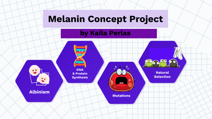 Melanin Concept Map by Kaila by kaila perlas on Prezi
