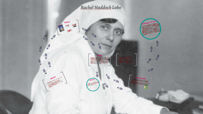 Rachel Haddock Lobo by Isabella Amália on Prezi