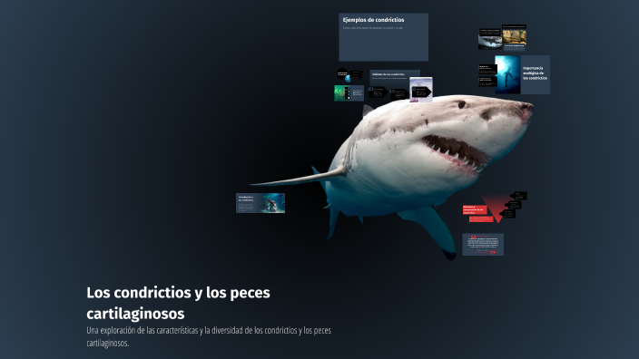 Los condrictios y los peces cartilaginosos by Sofía Guzmán on Prezi