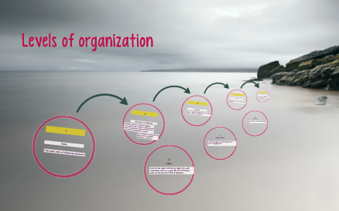 Levels of organization by scott patterson on Prezi
