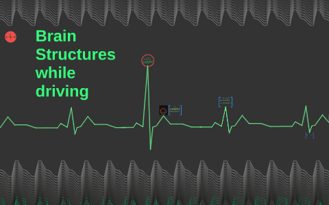 Brain Structures while driving by Courtney Conway on Prezi
