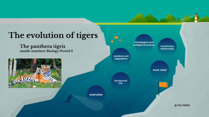 Evolution of tigers by natalie martinez on Prezi