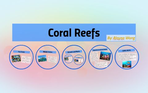 Wong Alayna Coral Reefs by Alayna Wong on Prezi