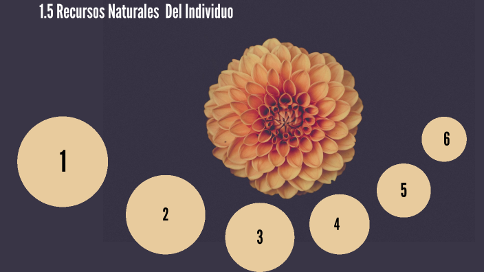 1.5 Recursos Naturales Del Individuo by Estefania Rico on Prezi