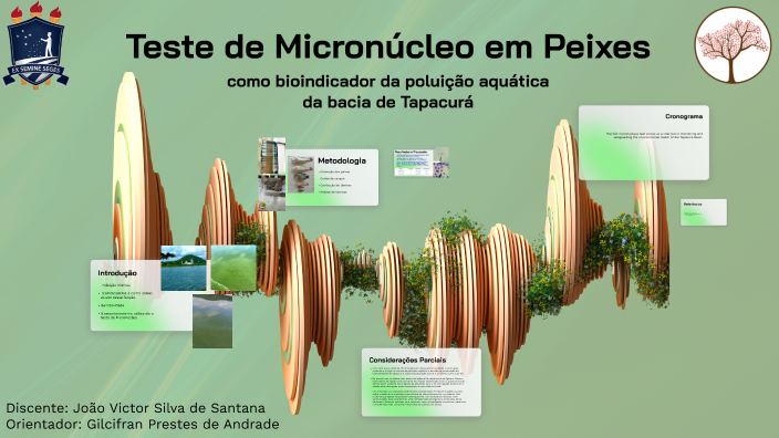 Micronucleus Test in Fish by Joao Victor on Prezi