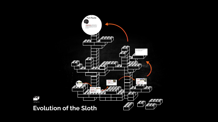 Evolution of the Sloth by Connor Capel on Prezi