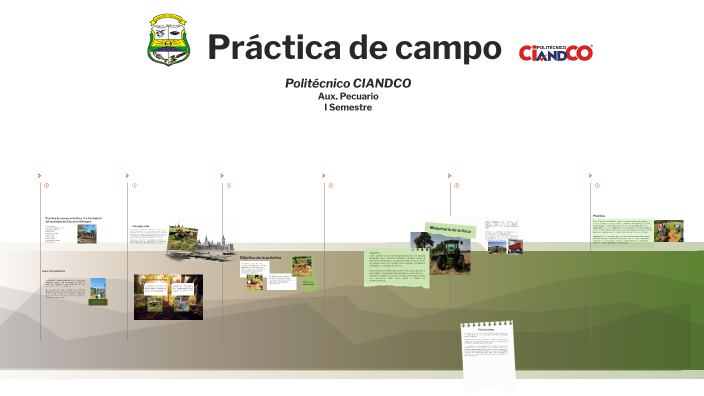 PRACTICA DE CAMPO by Paulina Pinzón on Prezi
