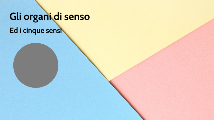 Gli organi di senso by Laura Sacchetti on Prezi
