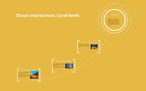 Ocean interactions: Coral Reefs by Lily Trujillo on Prezi