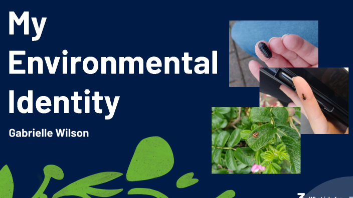 My Environmental Identity by gabby wilson on Prezi