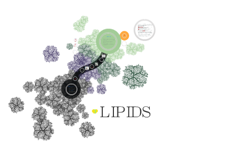 LIPIDS by Caitlin Felts
