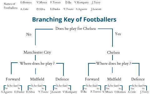 Branching Key of Footballers by Shaun-Chris Joash on Prezi