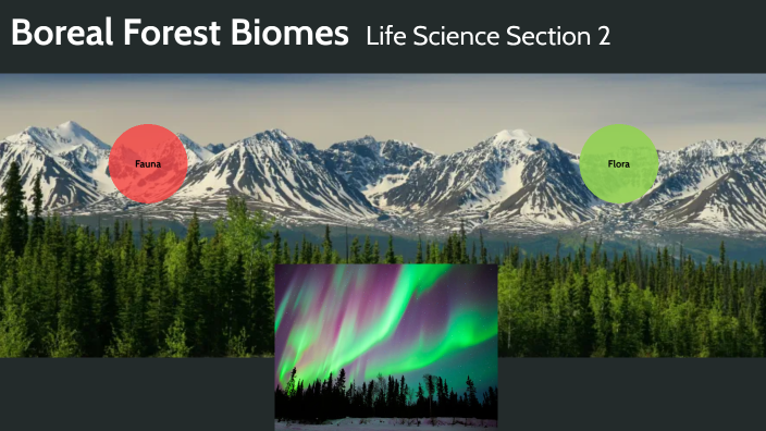 LS2- Boreal Forest Biomes by Donnie Howell on Prezi