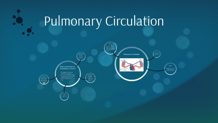 Pulmonary Circulation by DELD CCAG on Prezi