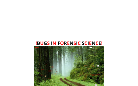 Bugs in Forensic Science by Roany Casas on Prezi