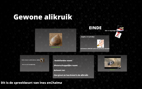Gewone alikruik by ines colonna on Prezi