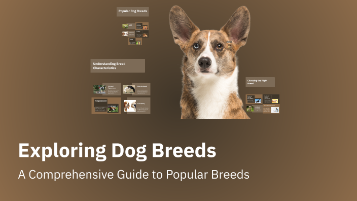 Exploring Dog Breeds by donnie darco on Prezi