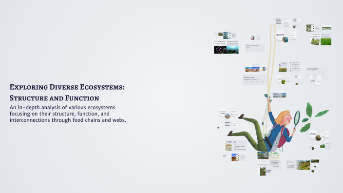 Exploring Diverse Ecosystems: Structure and Function by Kobe Graves on ...