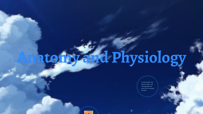 Anatomy and Physiology by kayla huggins on Prezi