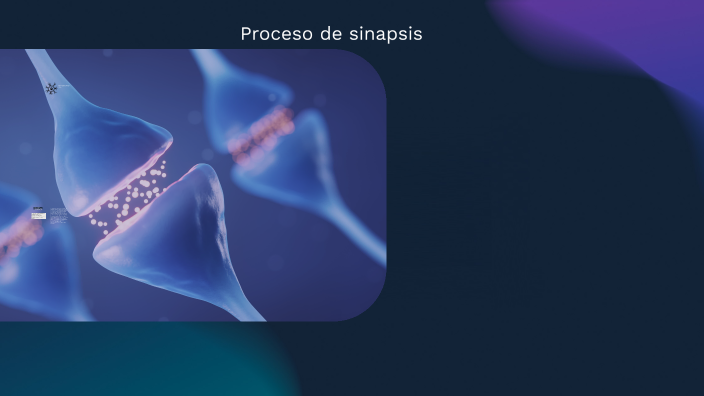 Proceso de sinapsis by Keidy samary Meza sierra on Prezi
