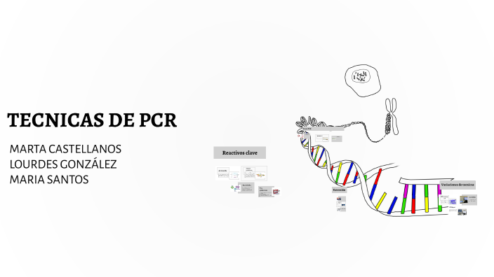 Fases de PCR by Lourdes Gonzalez moreno on Prezi