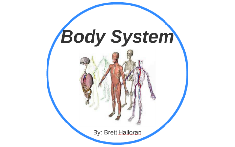 Body System by Brett Halloran on Prezi