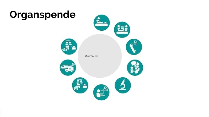 Organspende by Caitlin Hanlon on Prezi