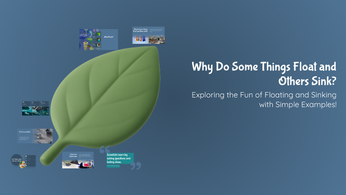 Why Do Some Things Float and Others Sink? by Zahra Saqib on Prezi