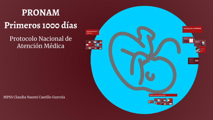 PRONAM Primeros 1000 días by naomi castillo gurrola on Prezi