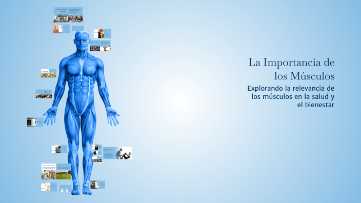 La Importancia de los Músculos by CRISH( DAVID on Prezi